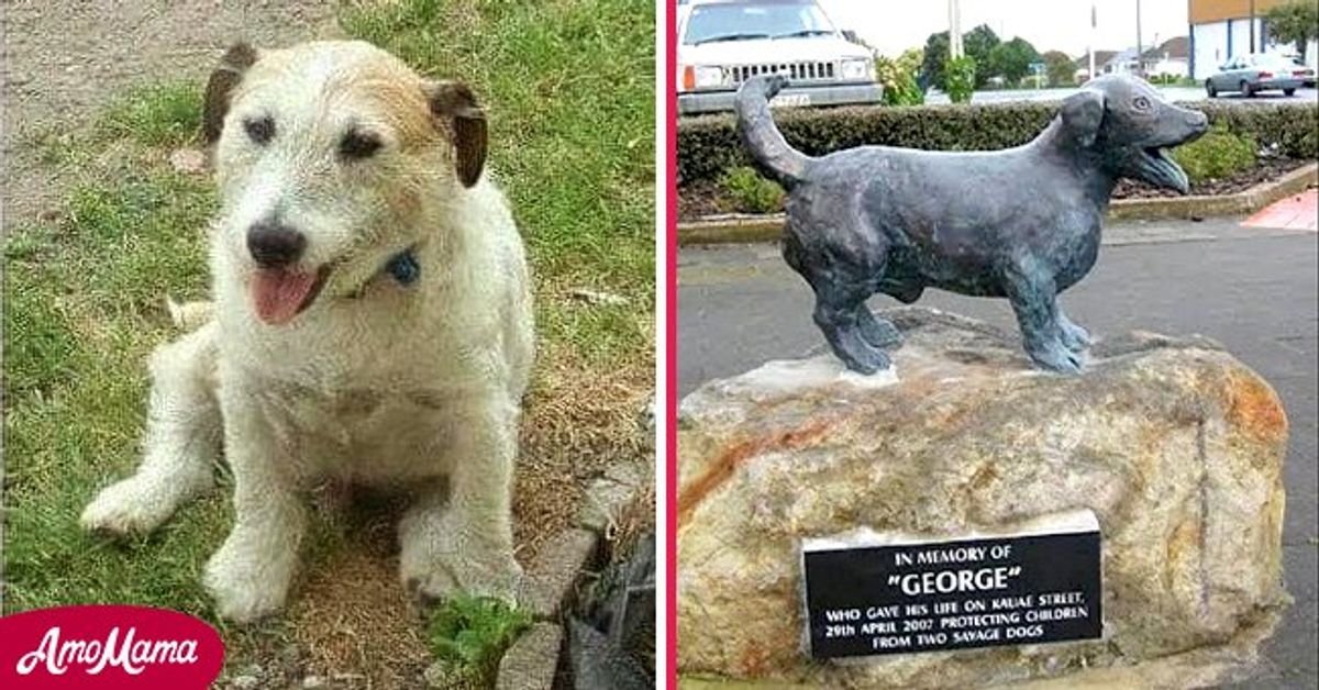 La historia de George, el perro que dio su vida al salvar a 5 niños de ...