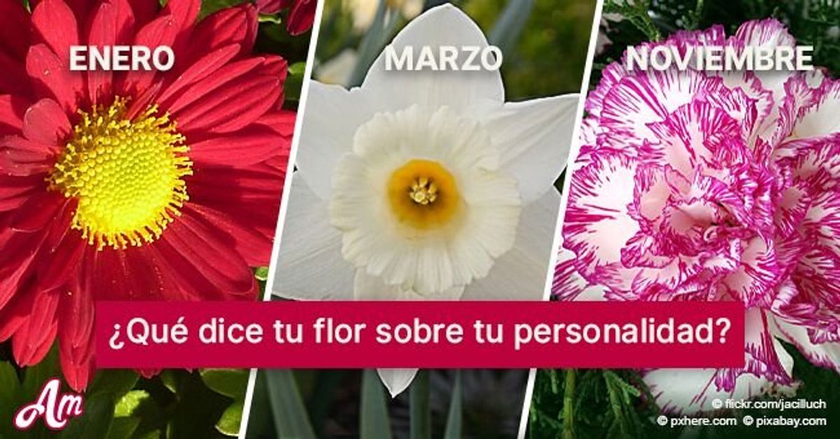 La flor del mes de tu nacimiento guarda un secreto sobre tu personalidad