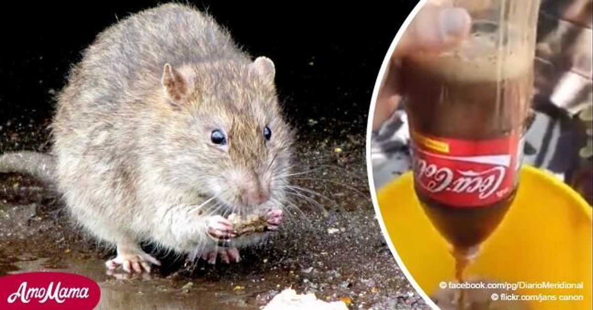 Encuentra una rata en su Coca-Cola y filma un video para probarlo