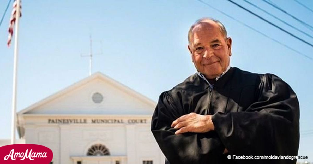 Michael Cicconetti, el implacable juez que aplica las penas más duras ...