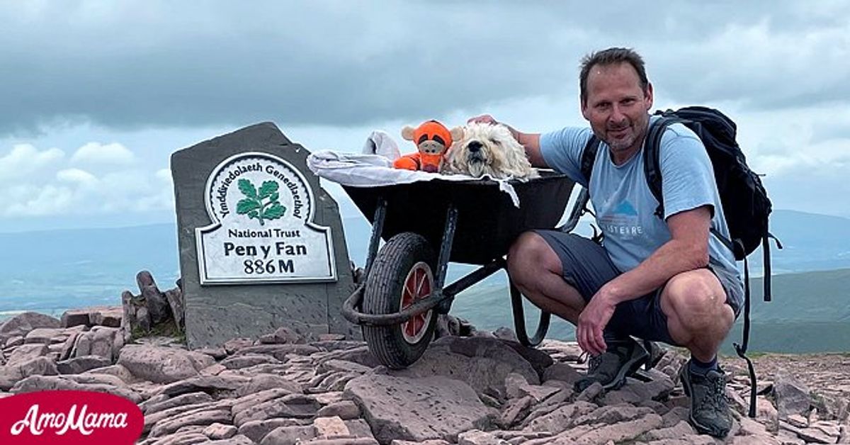 Despedida especial: lleva a su perro moribundo a su lugar favorito para ...